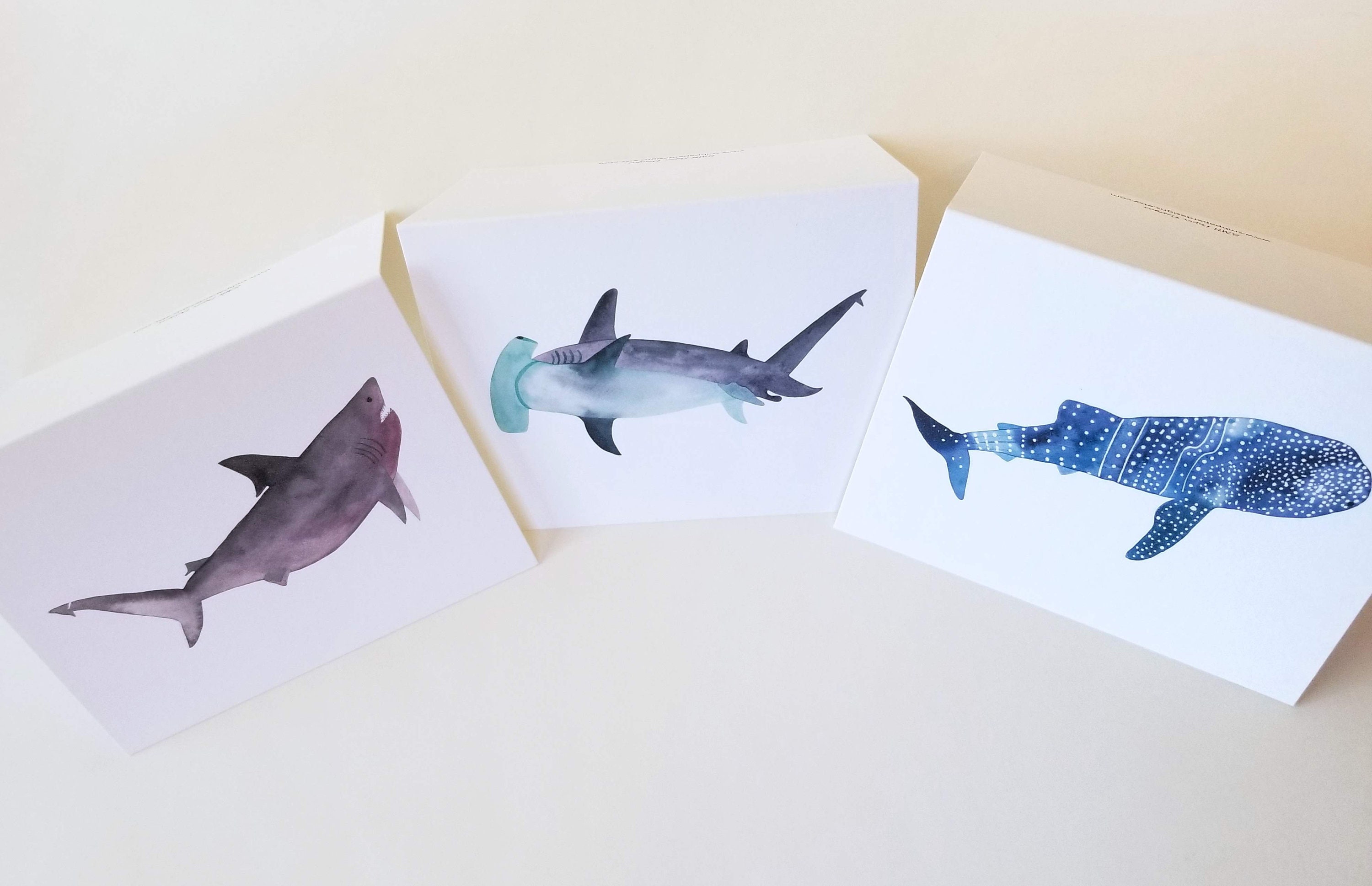 Sharks Watercolor - Blank Greeting Cards - Boxed Set of 6 Prints - A2 ...