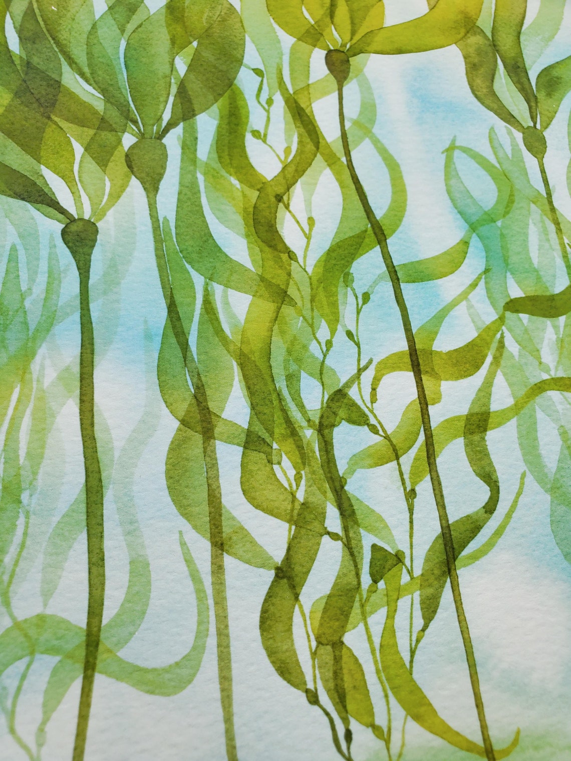 Kelp Forest - Watercolor Art PRINT - Ocean Sea Marine Seaweed - Etsy