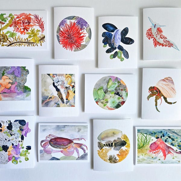 Sea Creature Cards - Etsy Canada