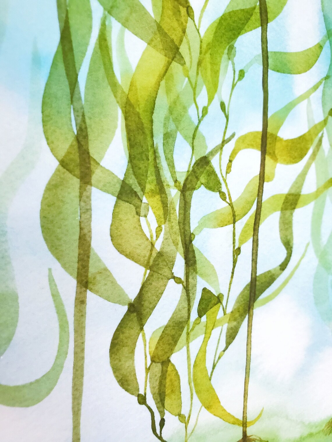 Kelp Forest - Watercolor Art PRINT - Ocean Sea Marine Seaweed - Etsy