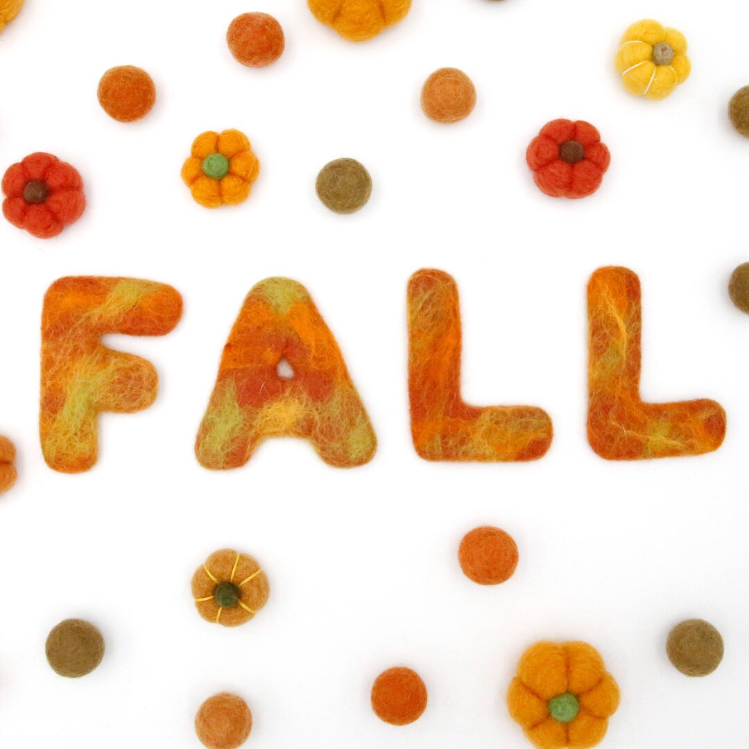 Felted Letters FALL Felt Letters - Etsy