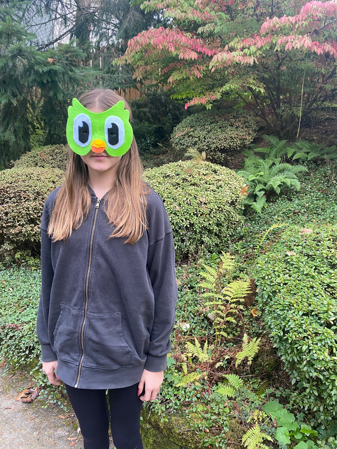 Duo-green Bird Face Mask~ Lingo~eye Mask~ Halloween Costume~ Green Bird ...