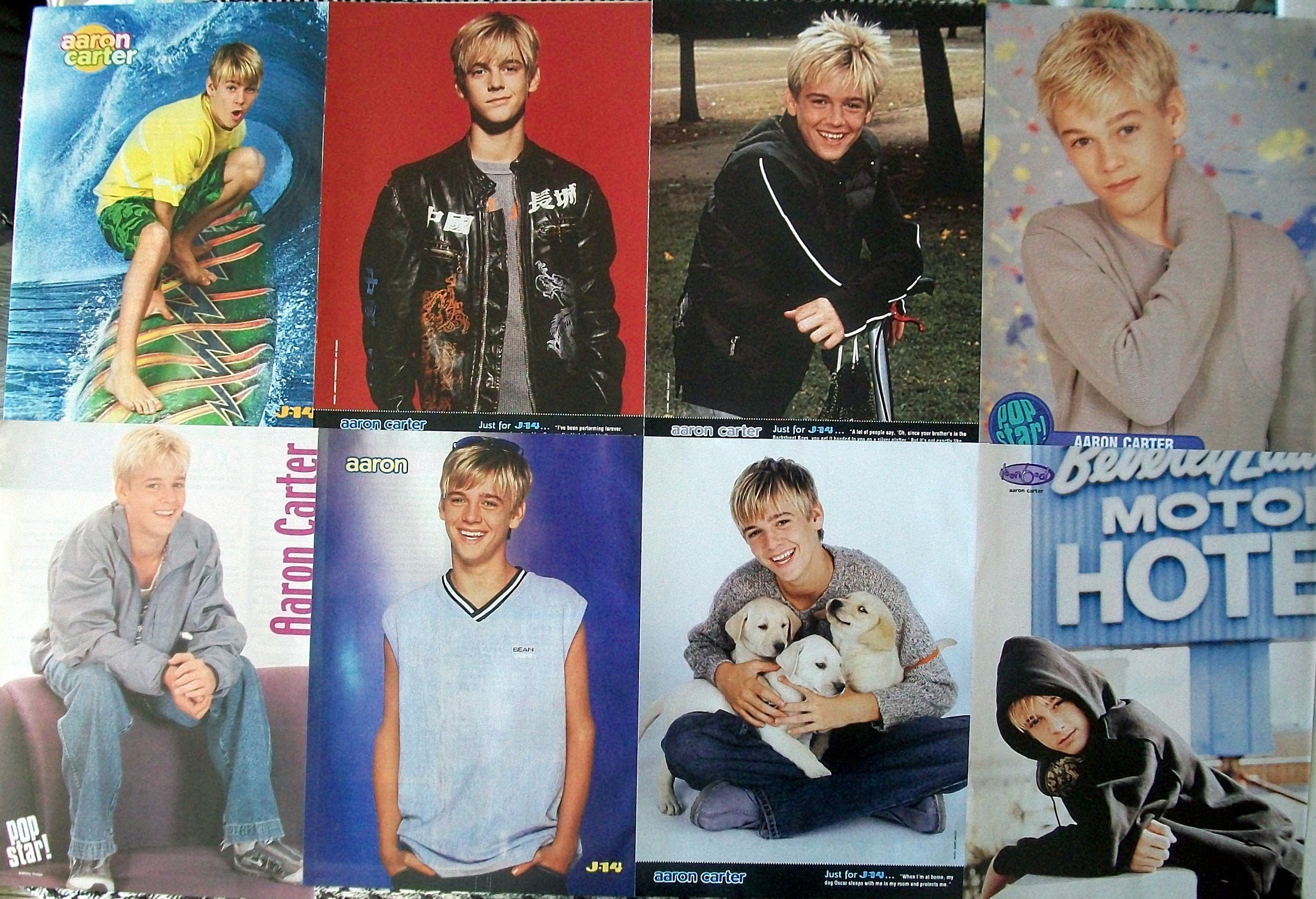 AARON CARTER Aaron's Party Come Get It Crazy Little | Etsy