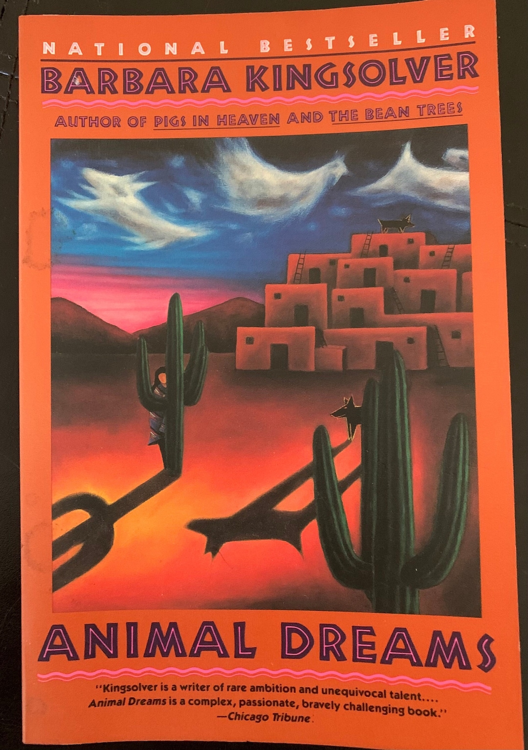 Animal Dreams, Paperback Novel by Barbara Kingsolver - Etsy