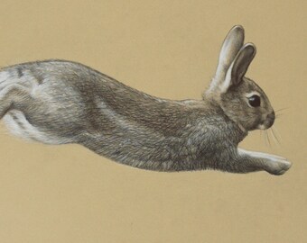 Rabbit Run Print - Etsy