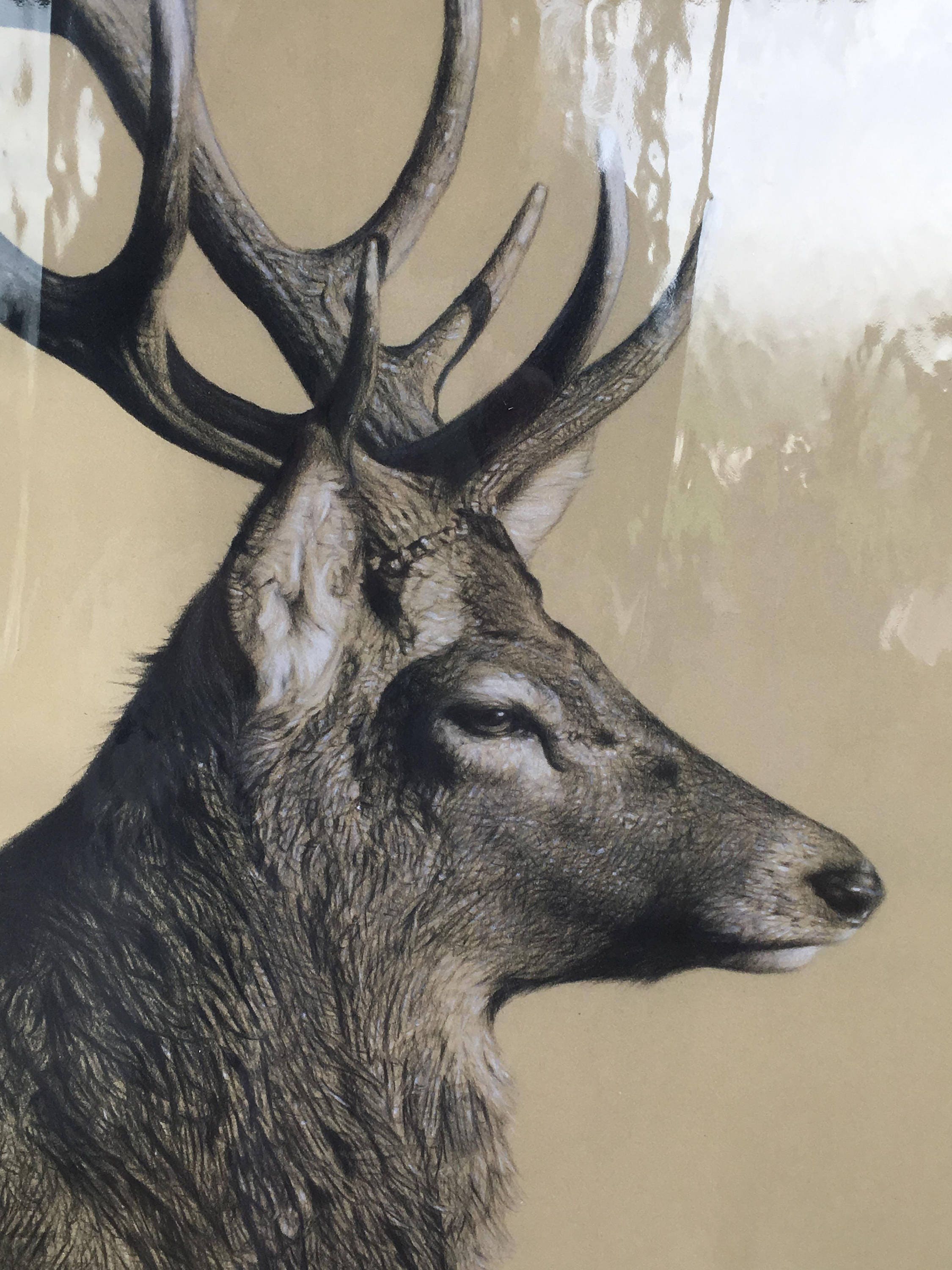 Striding Stag Large Mounted Limited Edition Print - Etsy