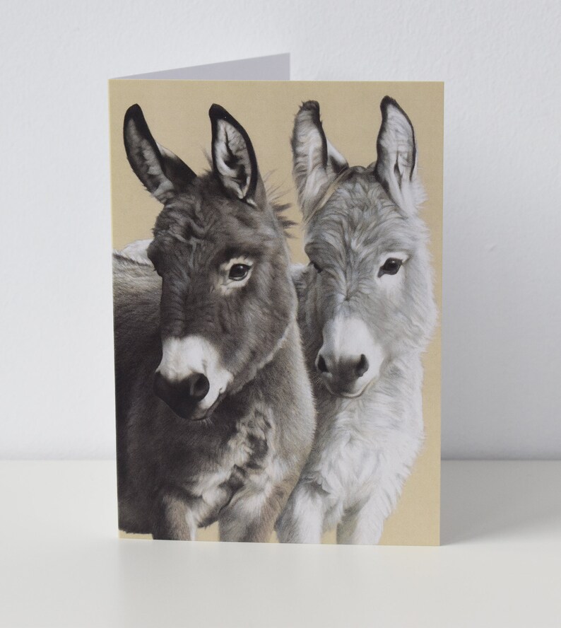 Donkeys Greeting Card - Etsy