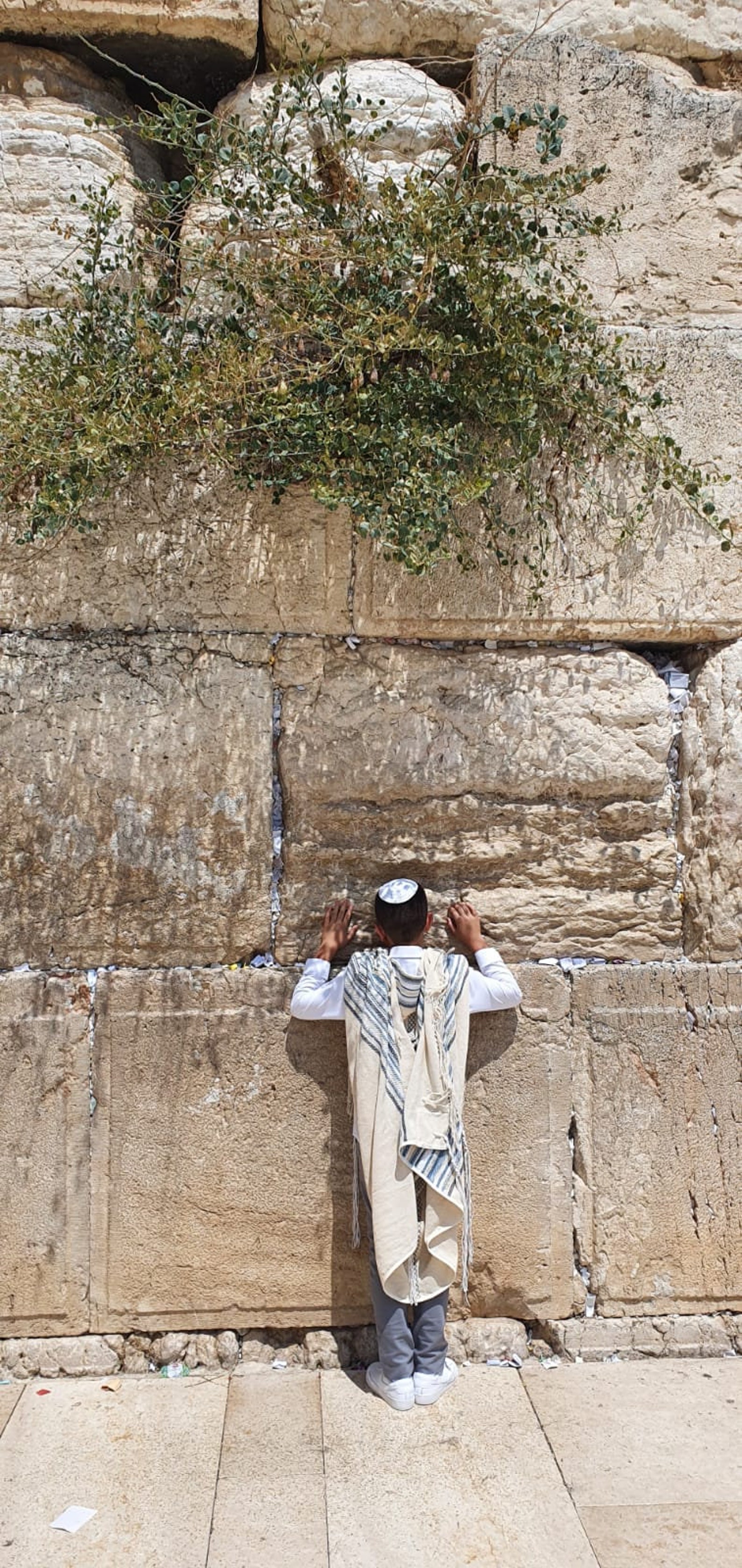 Tallit Set, Prayer Shawl, Jewish Prayer Shawl, Handwoven Tallit, Cotton ...