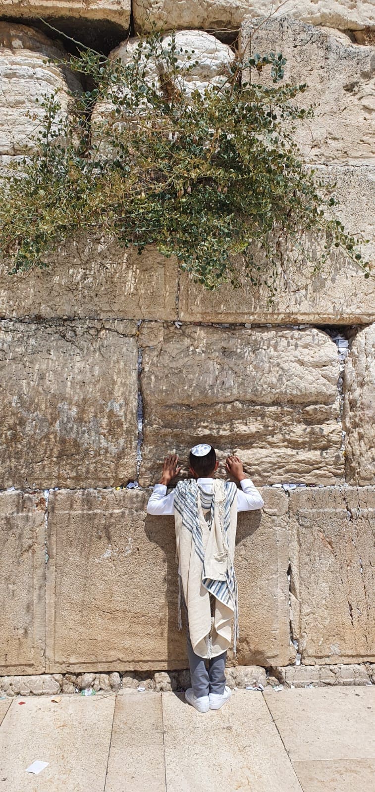 Tallit Set Prayer Shawl Jewish Prayer Shawl Handwoven | Etsy