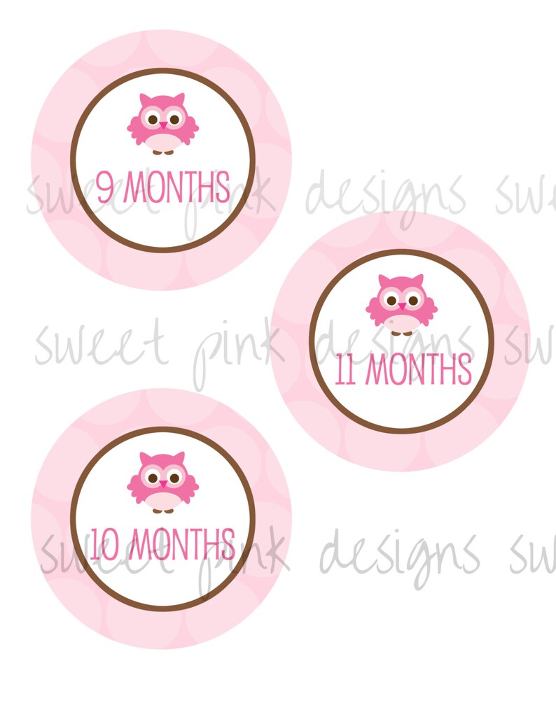 Monthly Baby Stickers, Milestone Stickers, Month Stickers, Baby Month ...