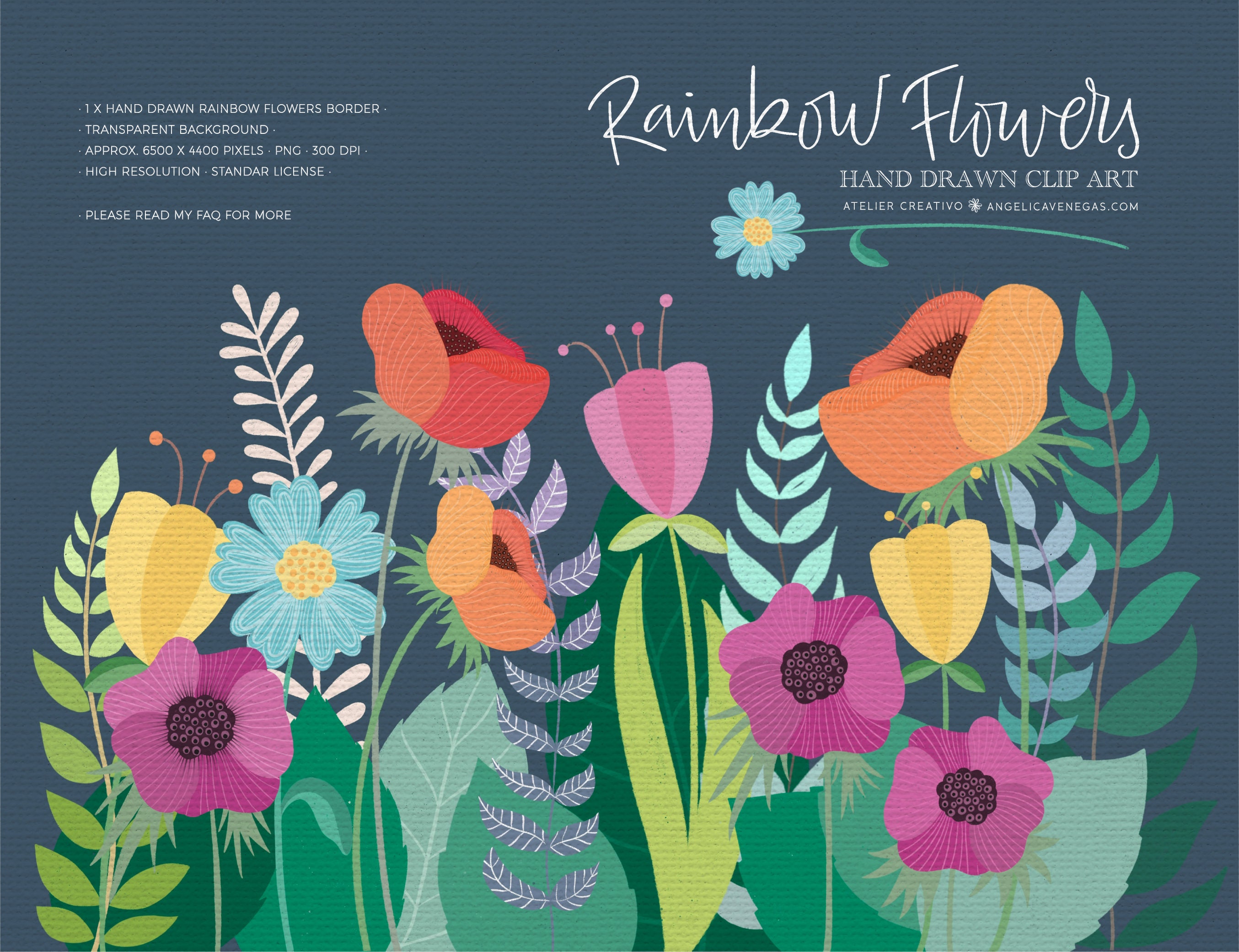 Hand-drawn Floral Border PNG: Rainbow Flowers Clipart (digital Download ...