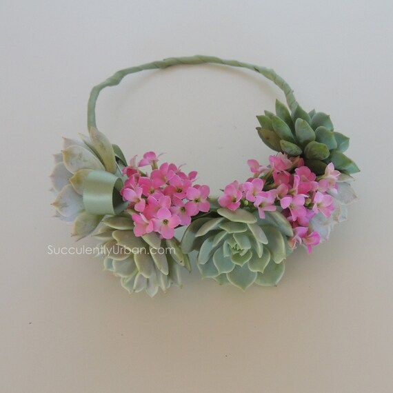 Succulent Crown | Etsy