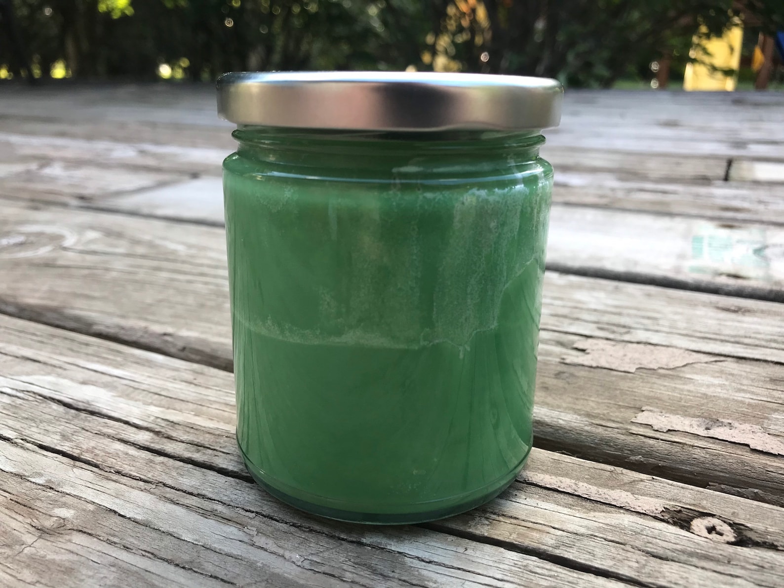 Dill Pickle Scented Soy Candle, Pickle Candle, Garden Candle, Gift for ...