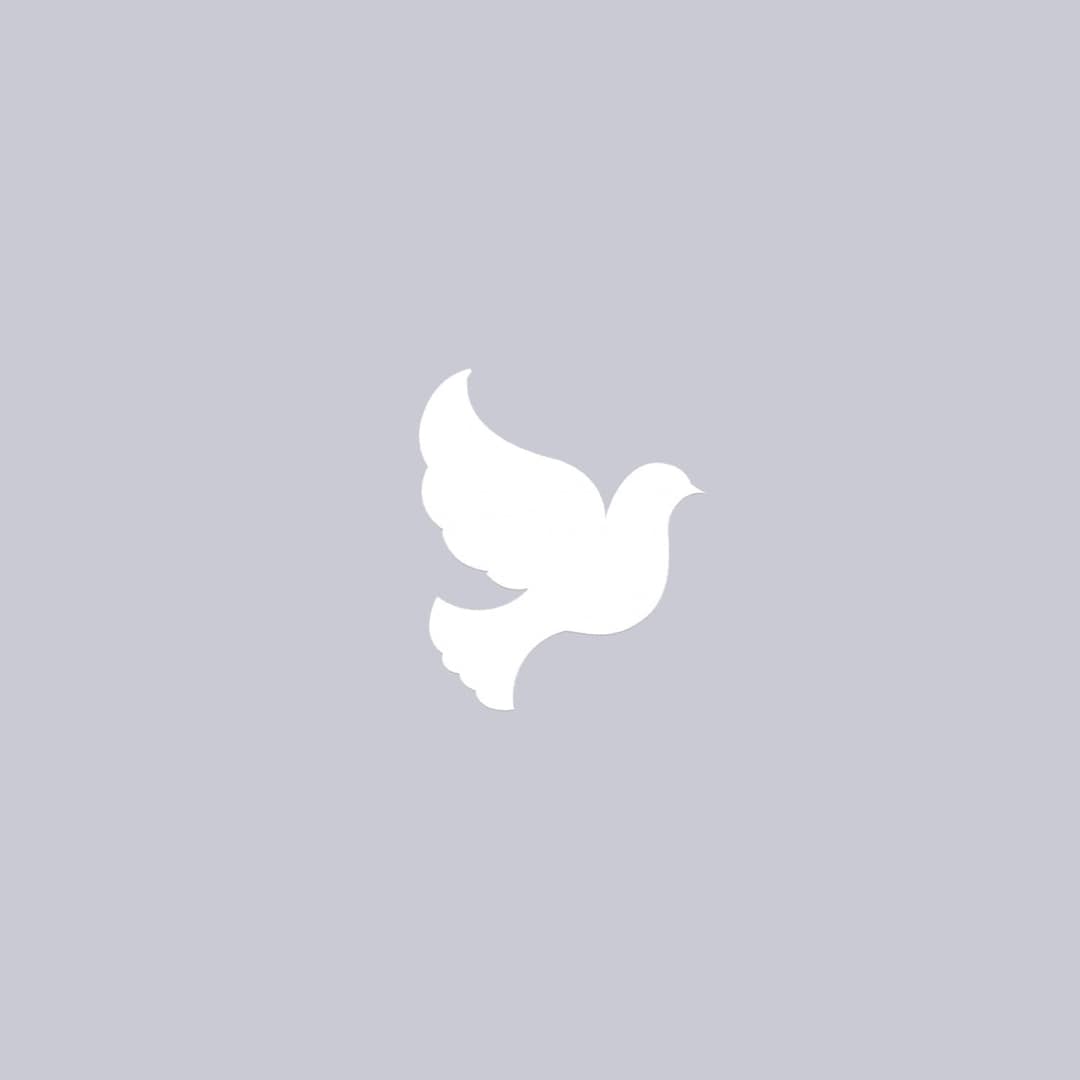 Paper Dove Die Cuts, Dove Cutouts for Wish or Memory Trees, Dove Shapes ...