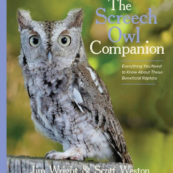 Screech Owl Houses - Etsy