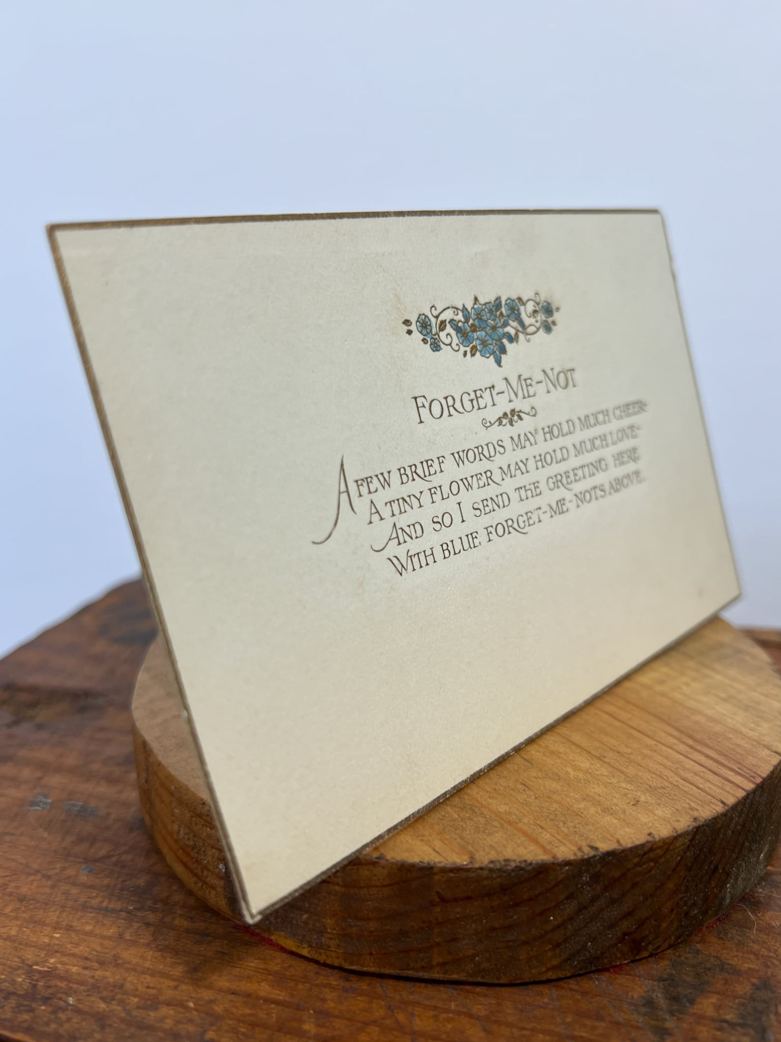 Vintage Forget Me Not Postcard Authentic the AM Davis Company - Etsy