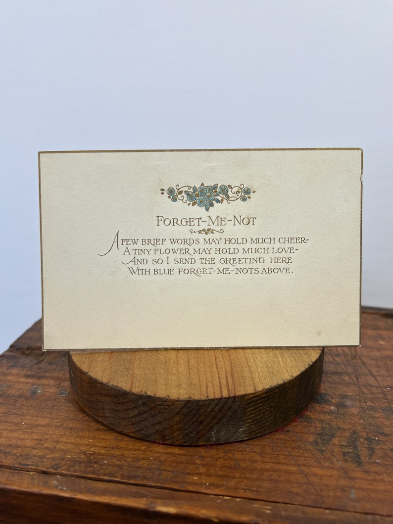 Vintage Forget Me Not Postcard Authentic the AM Davis Company - Etsy