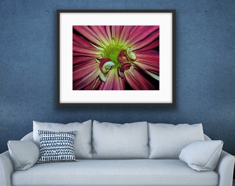 Flora-Fauna Photography - theRDBcollection