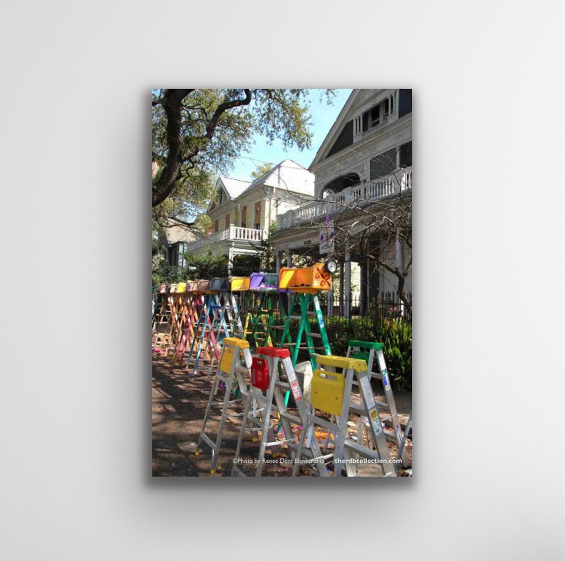 Mardi Gras Ladders Photo New Orleans Carnival Therdbcollection Renee ...