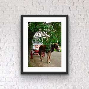 Roman Candy Cart Photo New Orleans Cart and Horse Print - Etsy