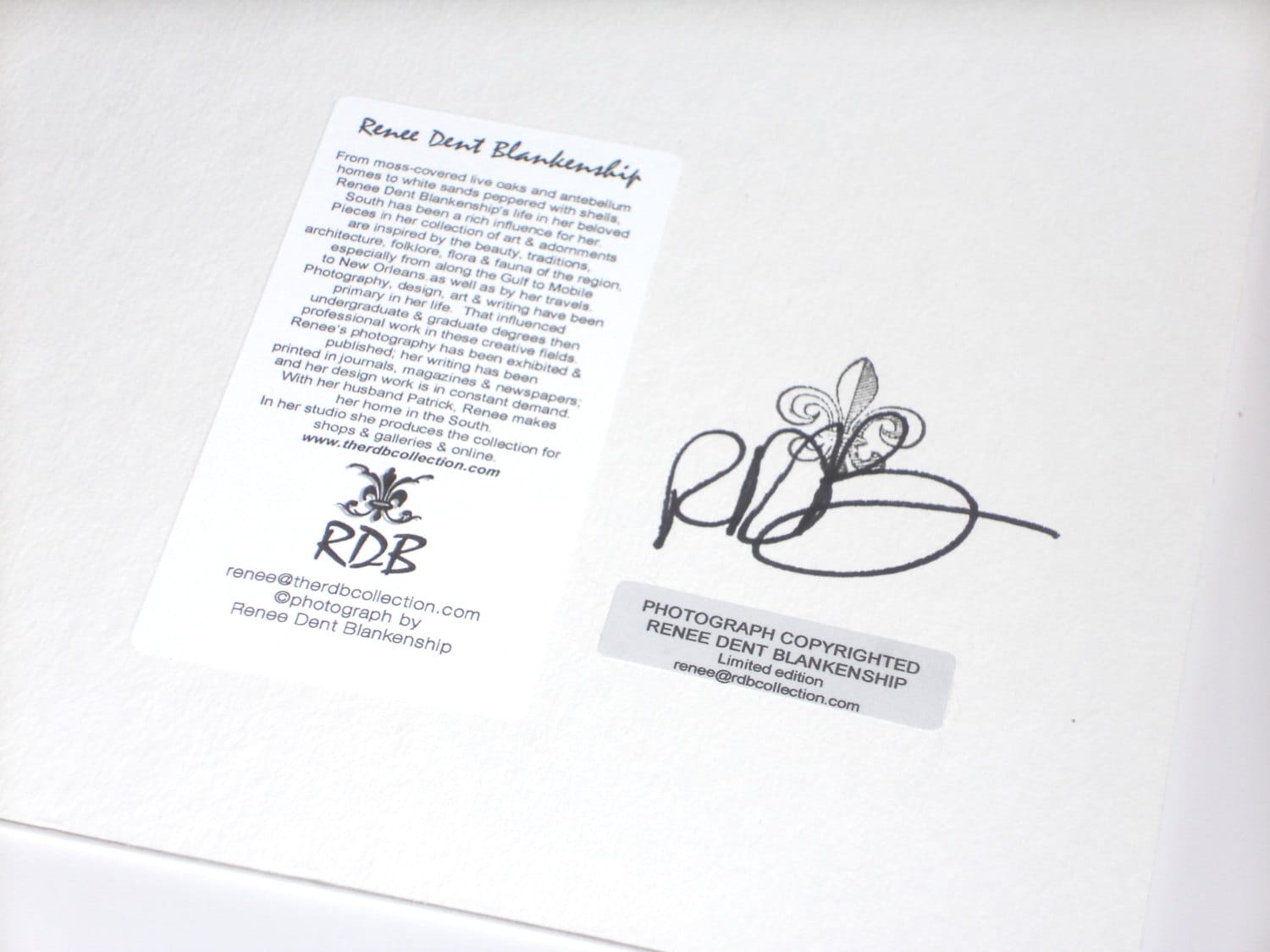 Mardi Gras Jester Sign Photograph