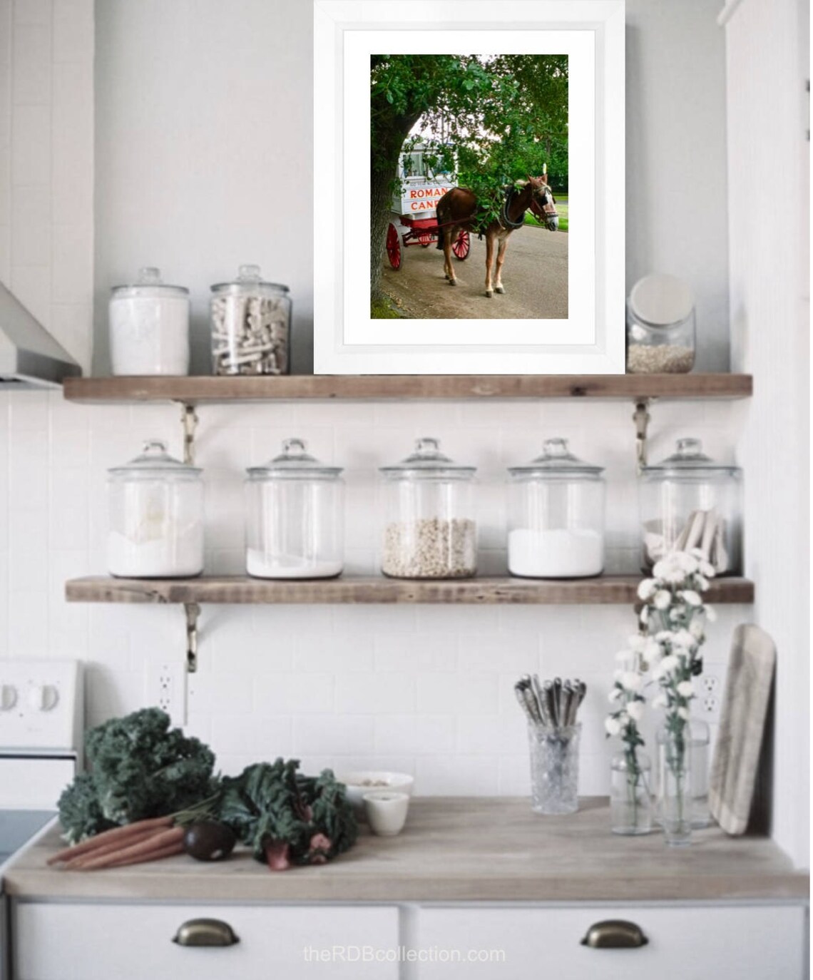 Roman Candy Cart Photo New Orleans Cart and Horse Print - Etsy
