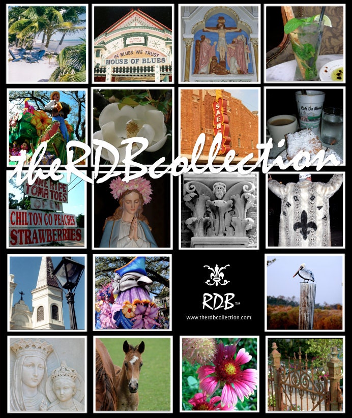 New Orleans Roman Candy Cart Photo