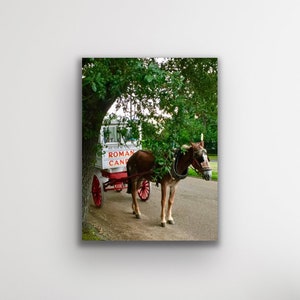 Roman Candy Cart Photo New Orleans Cart and Horse Print - Etsy