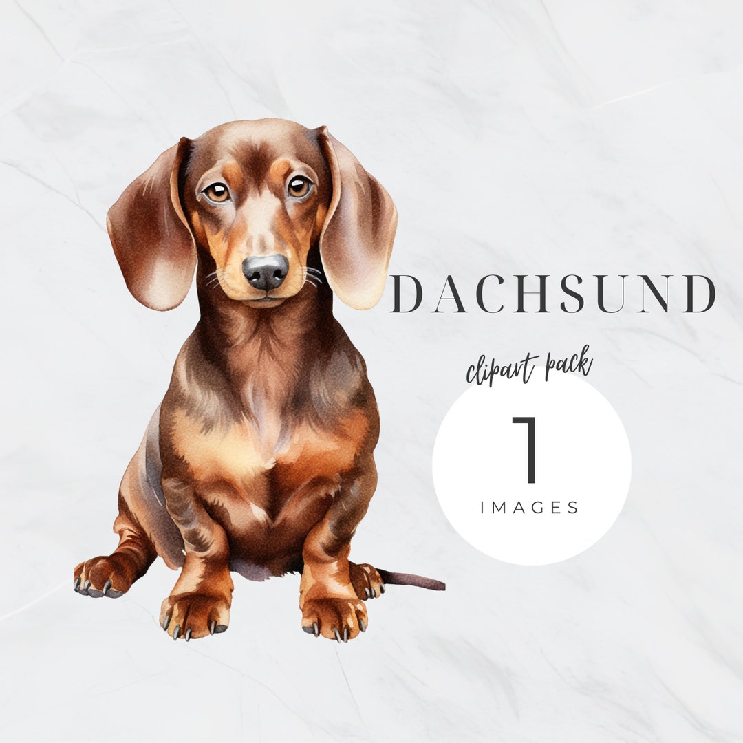 Dachshund Dog Clipart, Weiner Dog PNG, Watercolor Dog Clip Art, Sausage ...