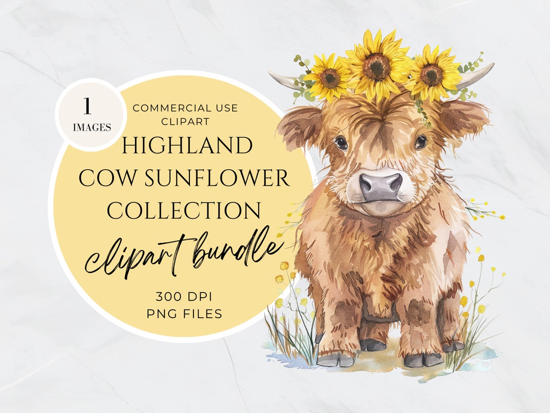 Watercolor Sunflower Highland Cows Collection Clipart, Transparent ...