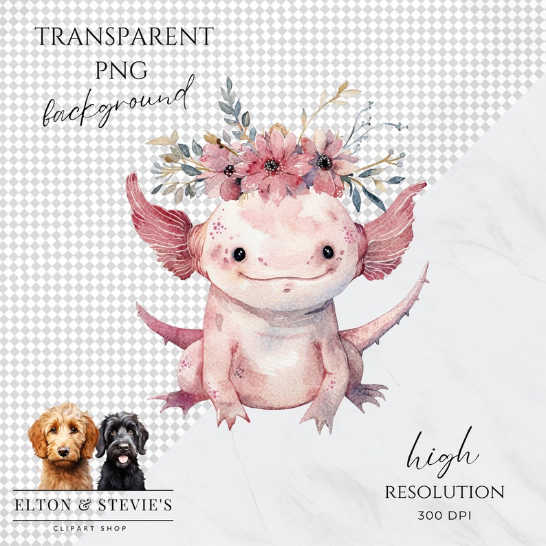 Axolotl Birthday Clipart, Sea Animal Graphics, Watercolor Nursery Decor ...