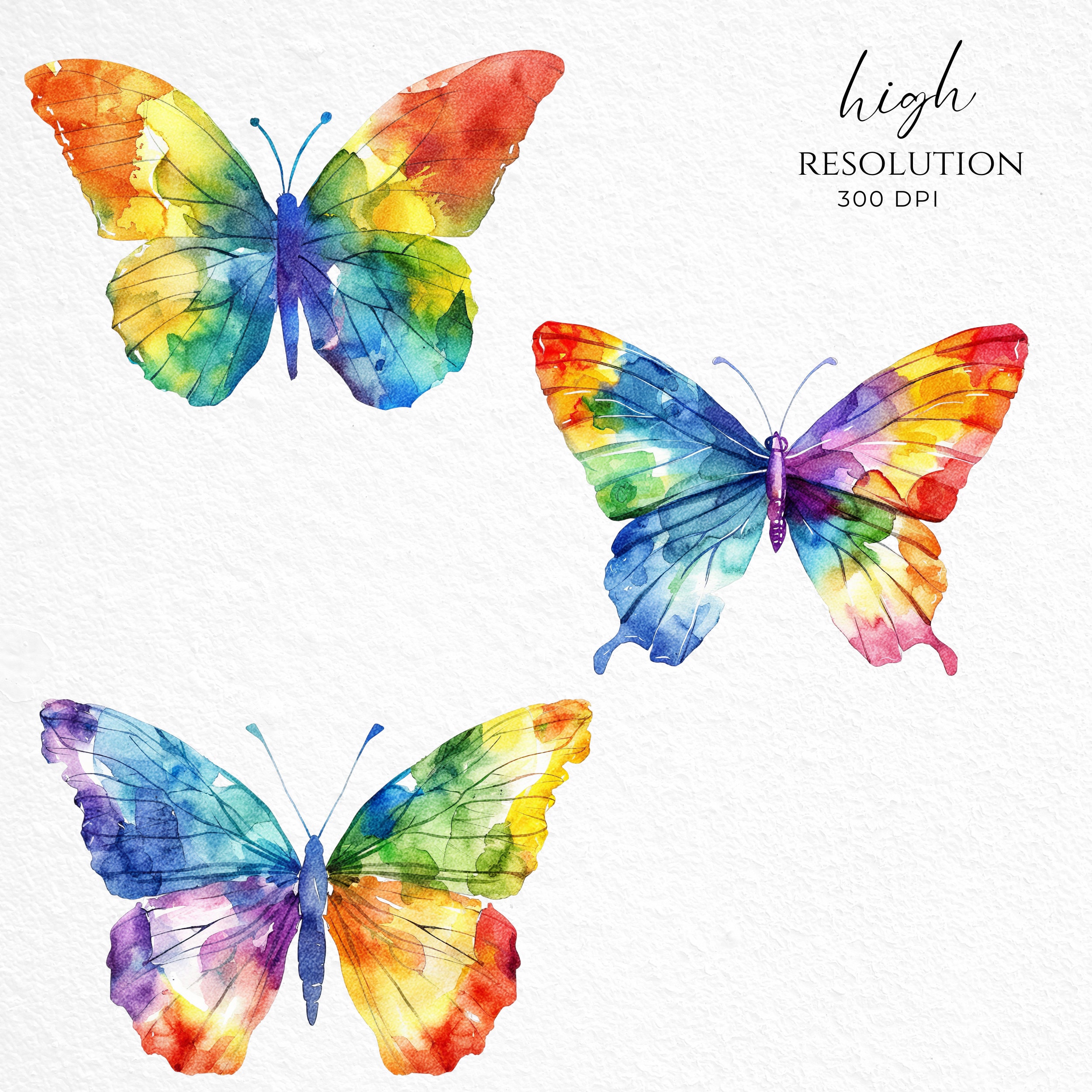 Rainbow Butterfly Watercolor Clipart, Colorful Butterflies, Transparent ...