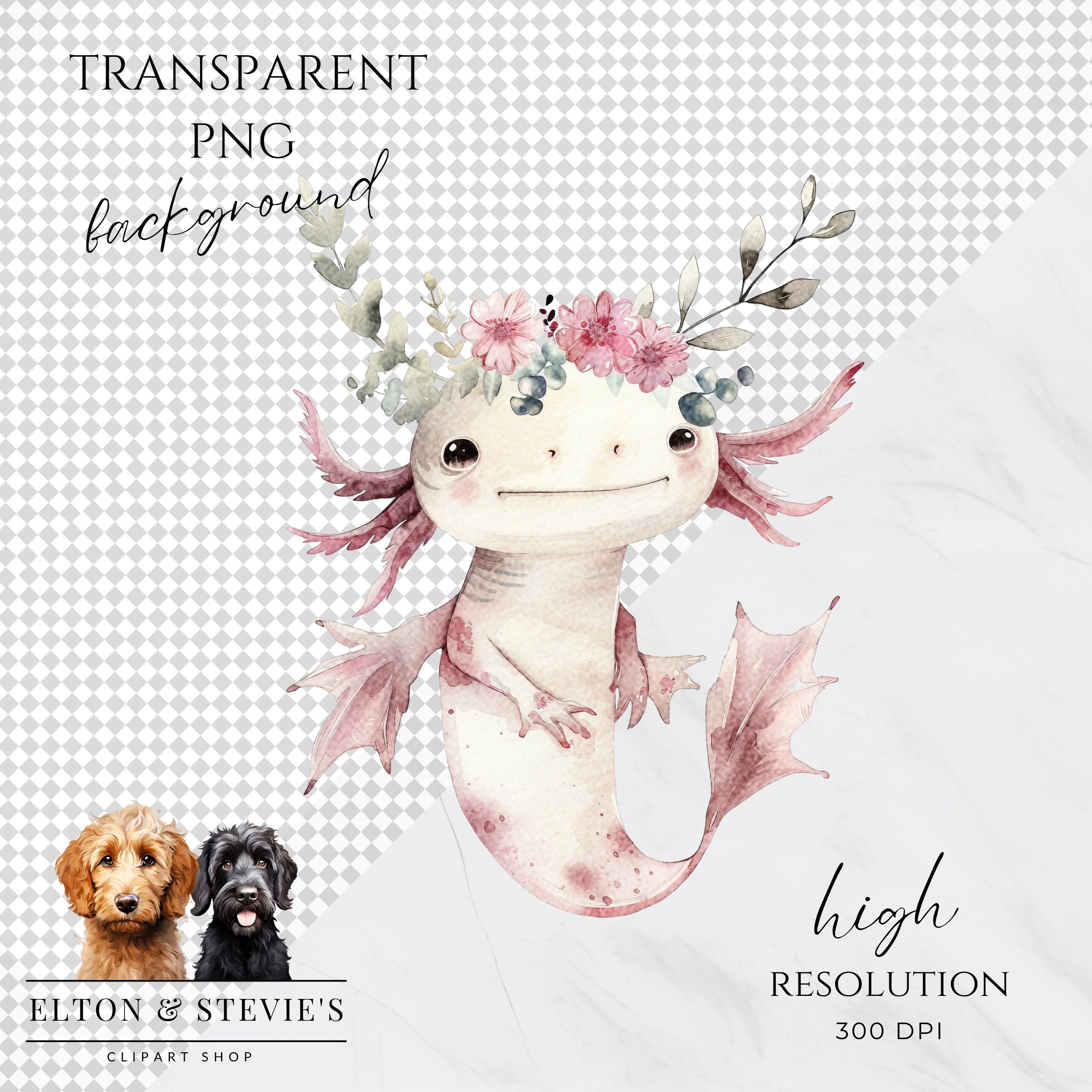 Axolotl Birthday Clipart, Sea Animal Graphics, Watercolor Nursery Decor ...