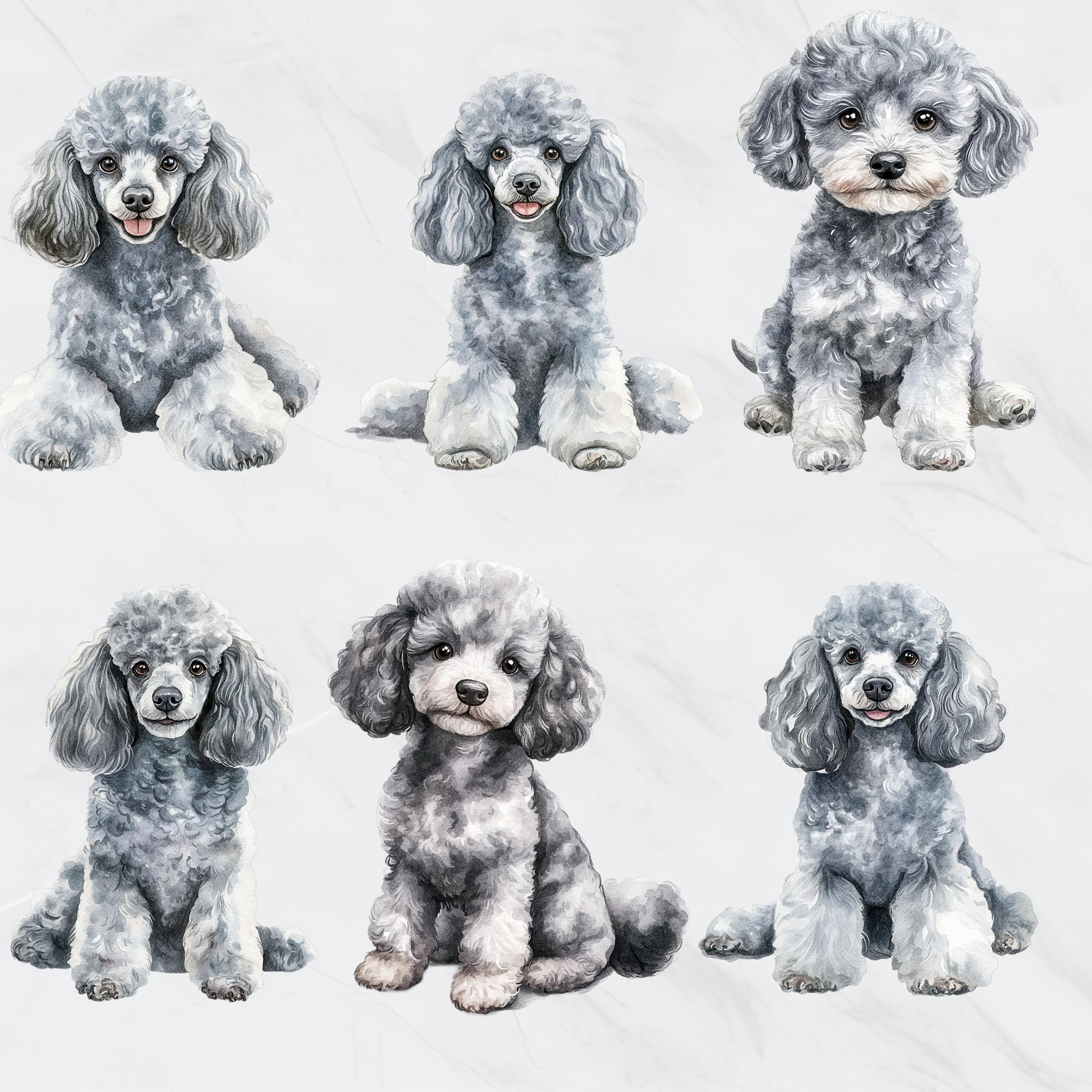 Toy Poodle PNG, Cute Puppy Clipart, Dog Graphics, Digital Download ...