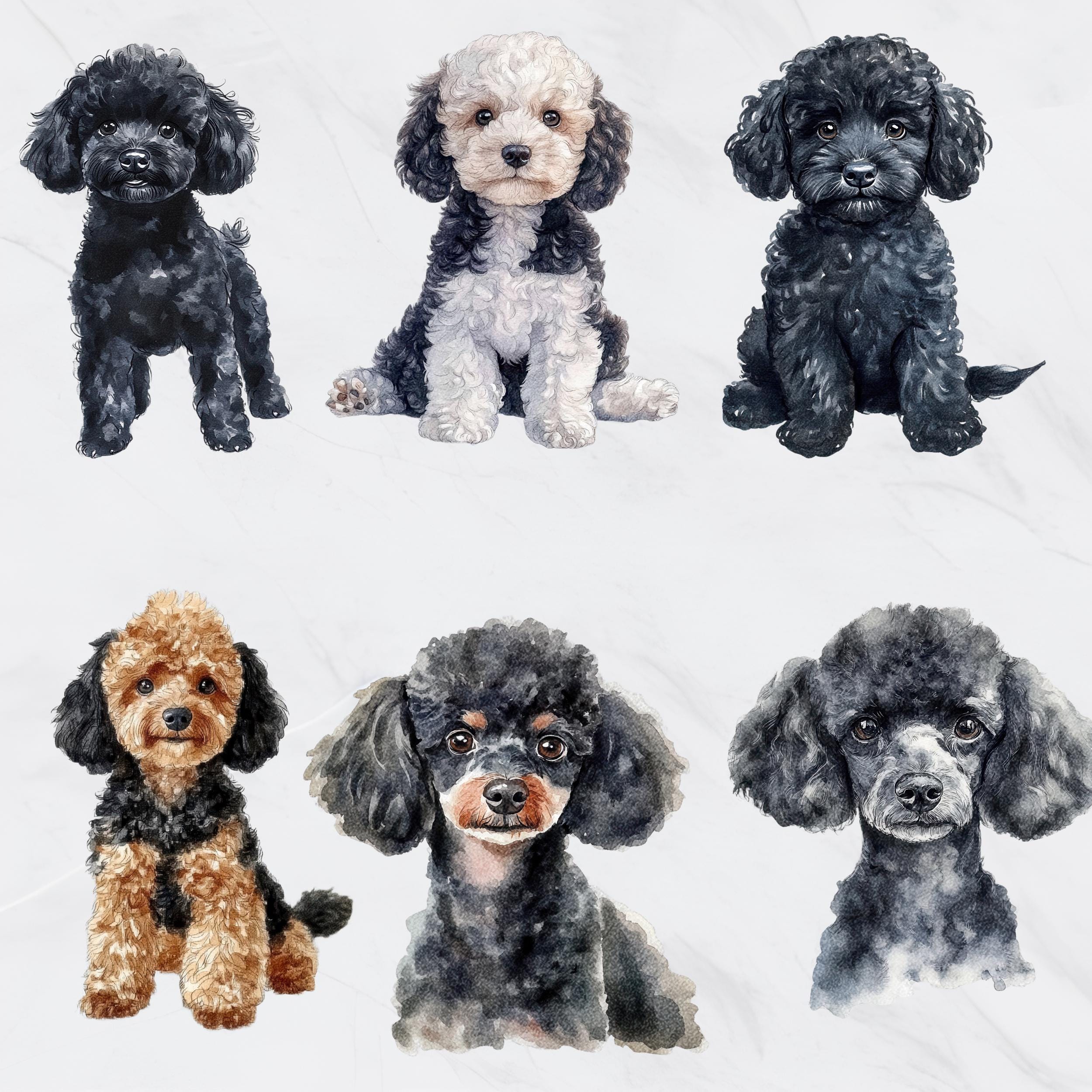 Toy Poodle PNG, Cute Puppy Clipart, Dog Graphics, Digital Download ...