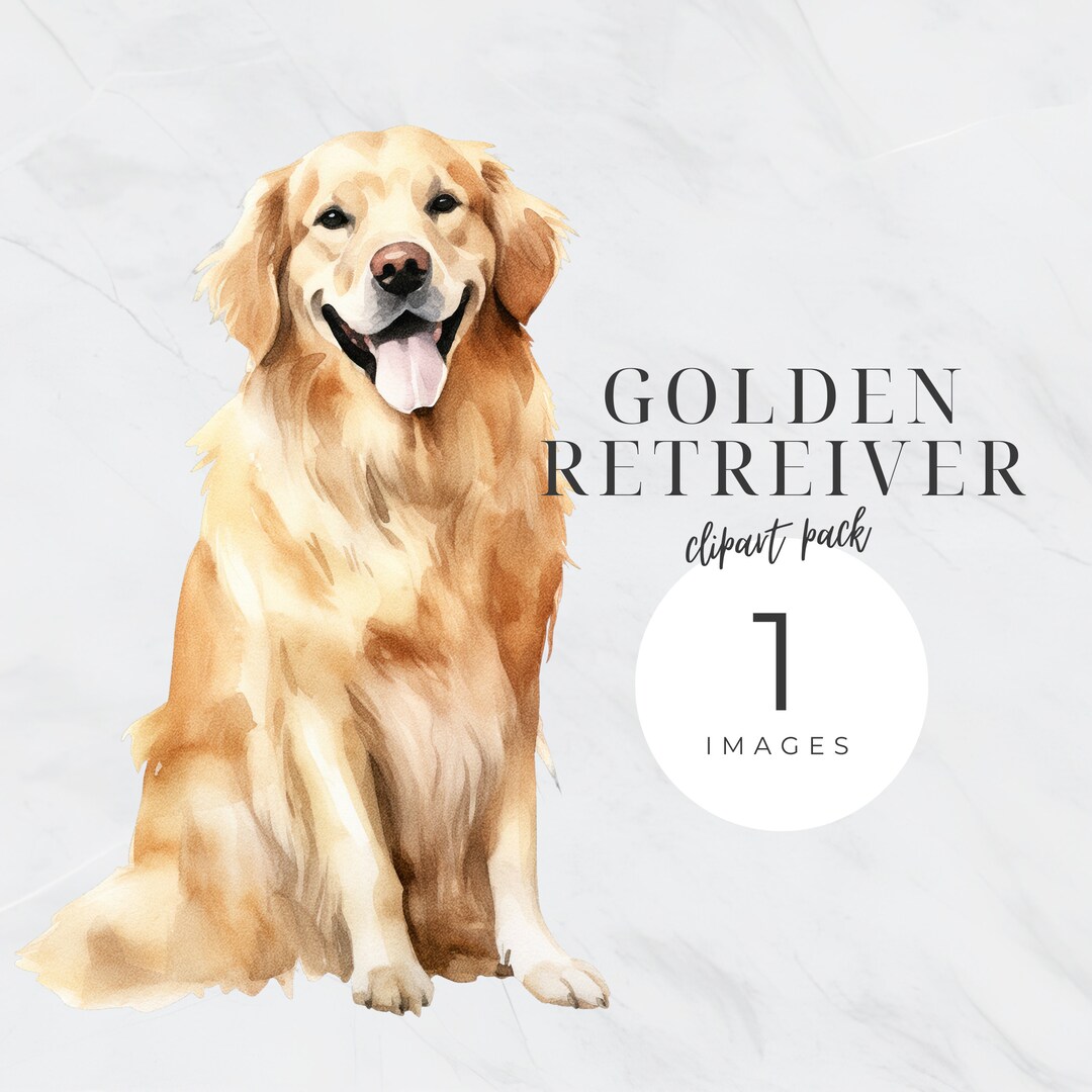 Watercolor Golden Retriever Dog Clipart, Pet Png, Puppy Transparent ...