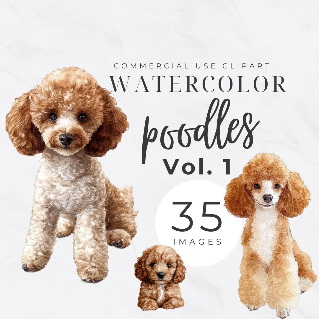 Toy Poodle PNG, Cute Puppy Clipart, Dog Graphics, Digital Download ...