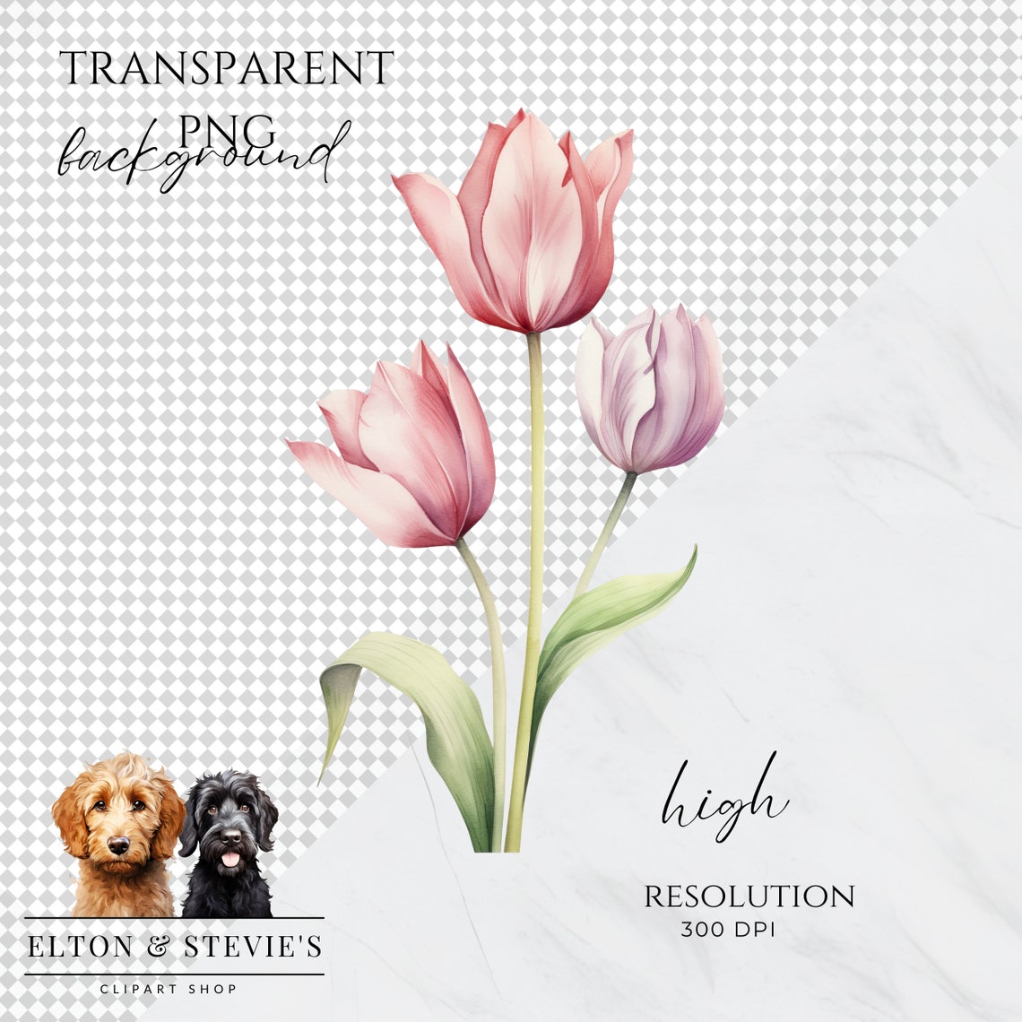 Watercolor Tulip Clipart, Light Pink Flower Clipart, Wedding ...