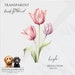 Watercolor Tulip Clipart, Light Pink Flower Clipart, Wedding ...