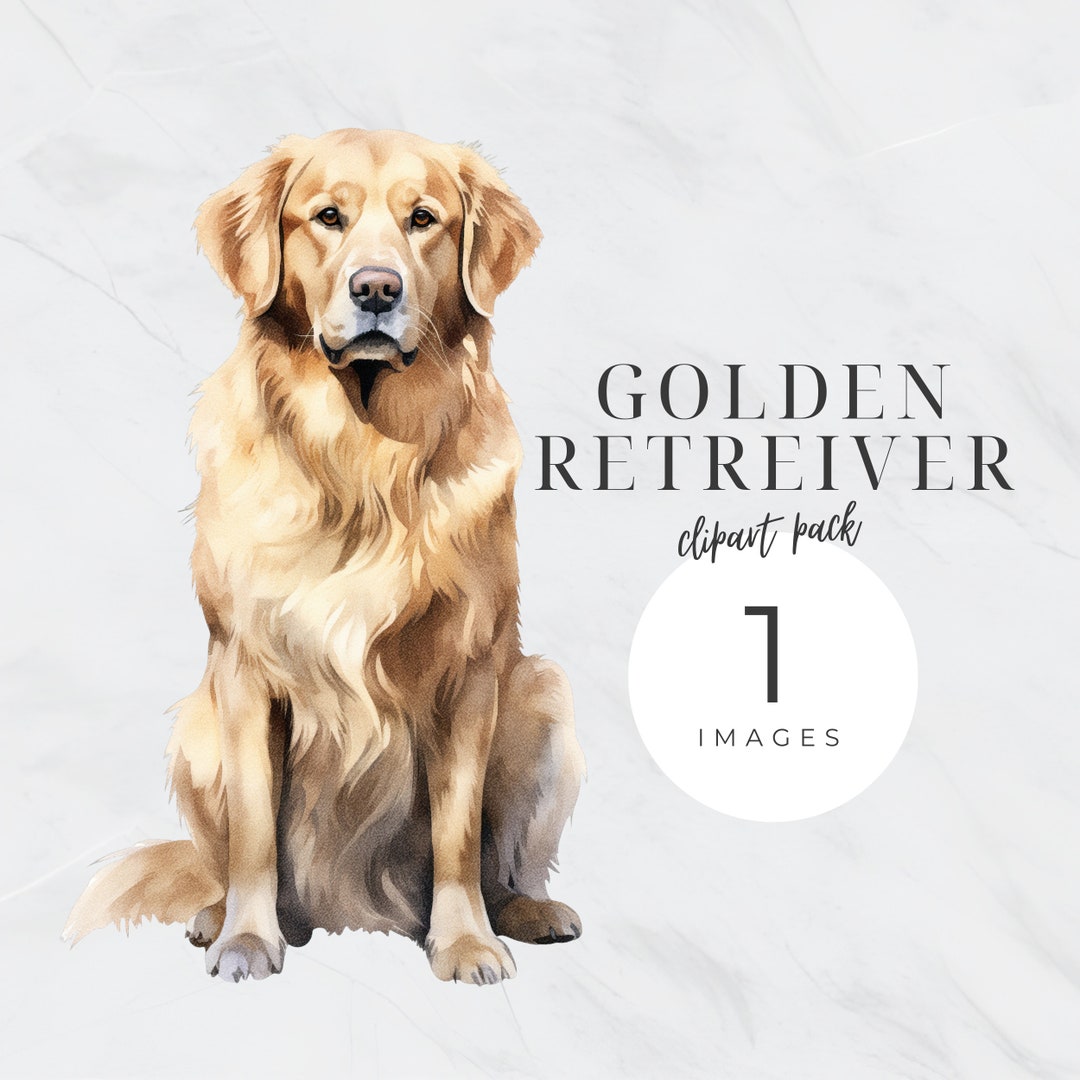 Watercolor Golden Retriever Dog Clipart, Pet Png, Puppy Transparent ...