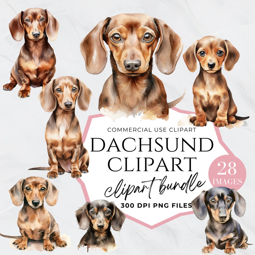 Dachshund Dog Clipart, Weiner Dog PNG, Watercolor Dog Clip Art, Sausage ...