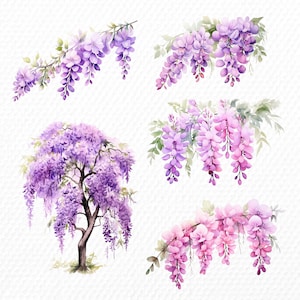 Watercolor Wisteria Clipart PNG, Digital Download, Wisteria Tree ...