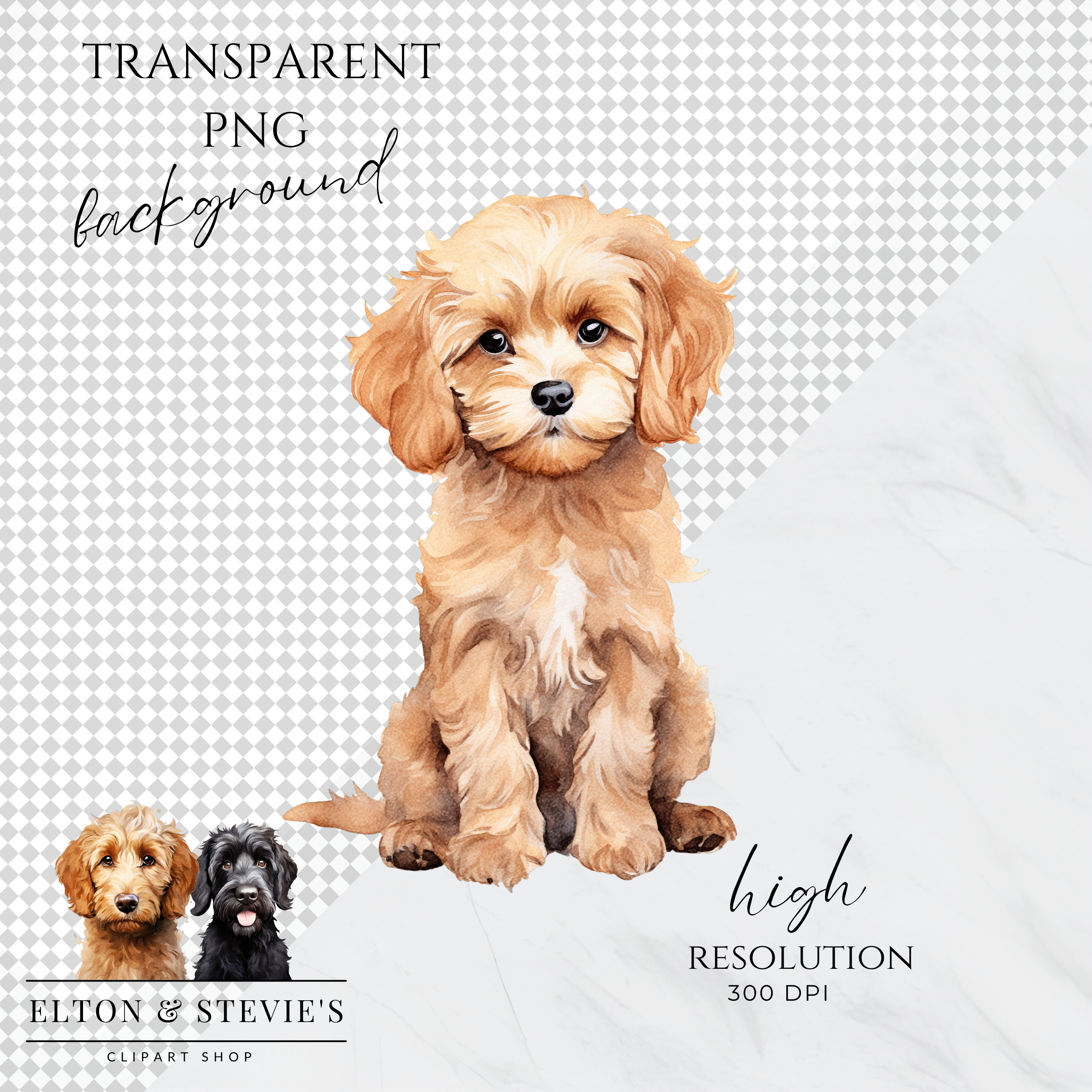 Cavapoo Clipart, Cavalier King Charles Spaniel, Poodle Clip Art, Dog ...