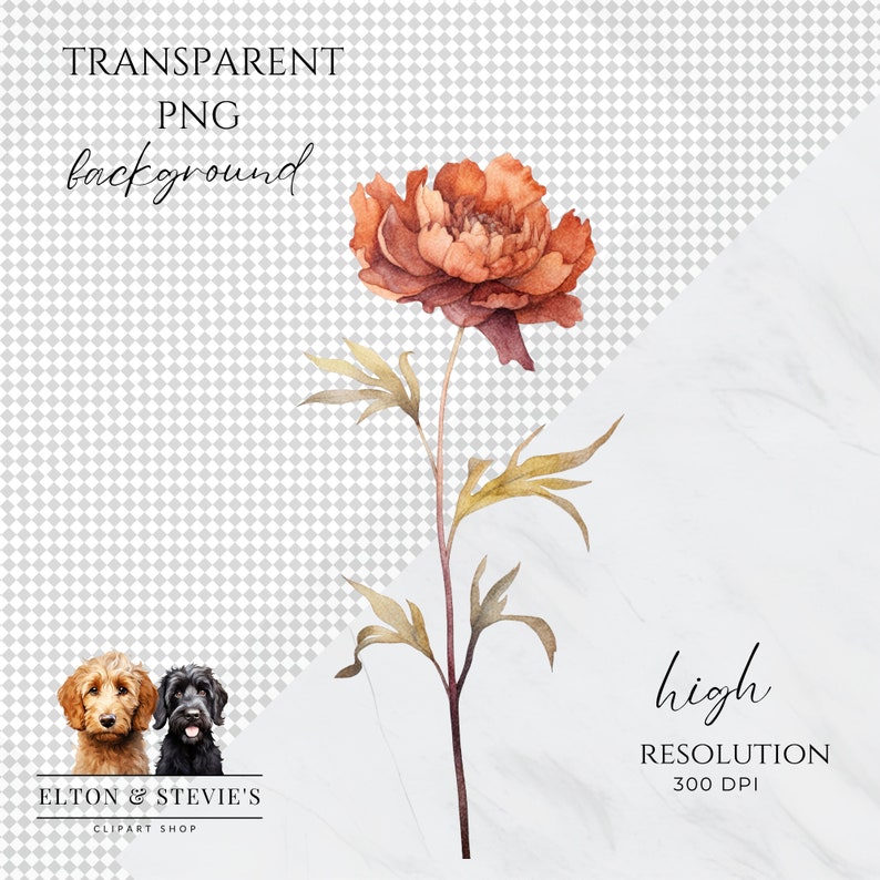 Terracotta Floral Clipart, Boho Peonies Clip Art, Watercolor Autumn ...