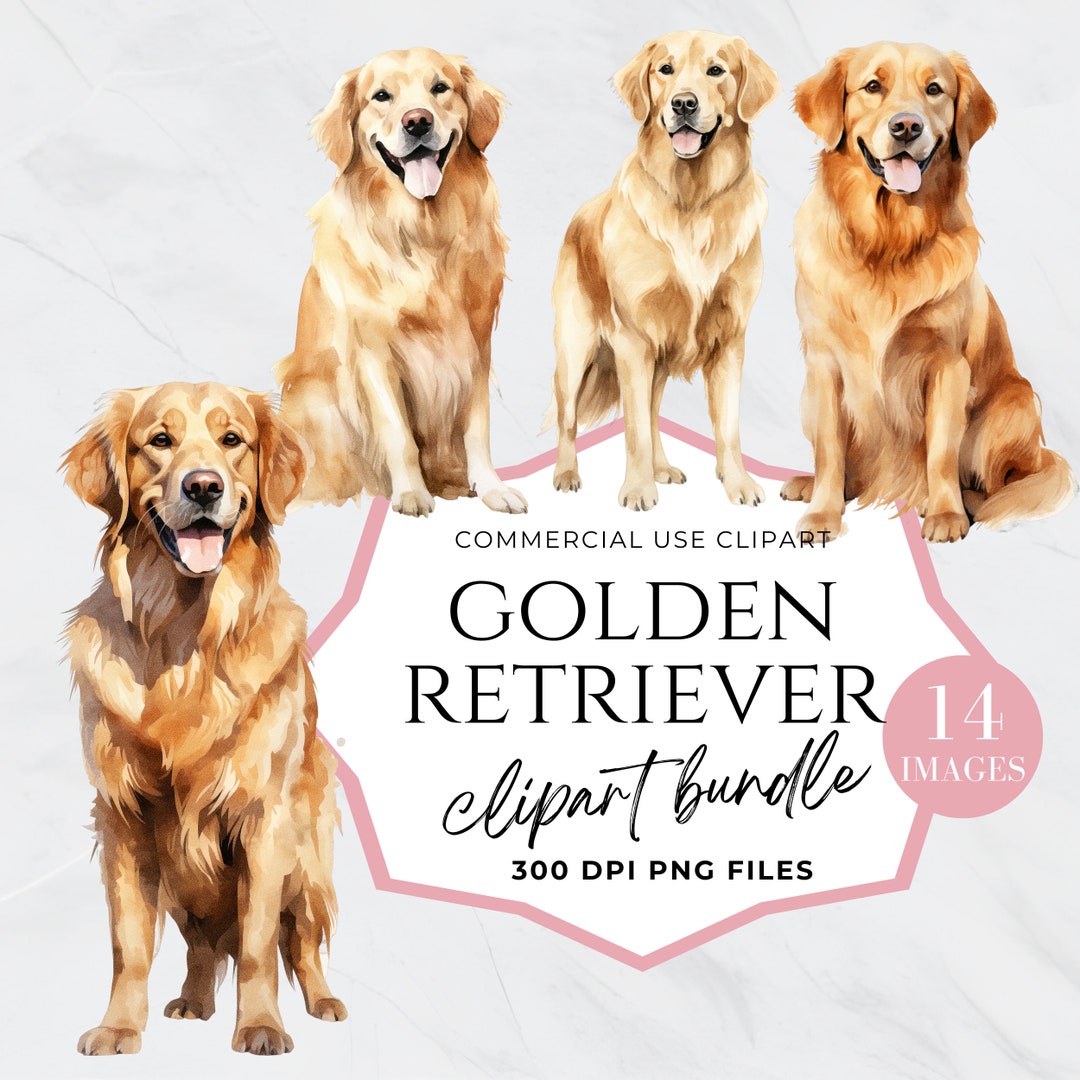 Watercolor Golden Retriever Dog Clipart, Pet Png, Puppy Transparent ...