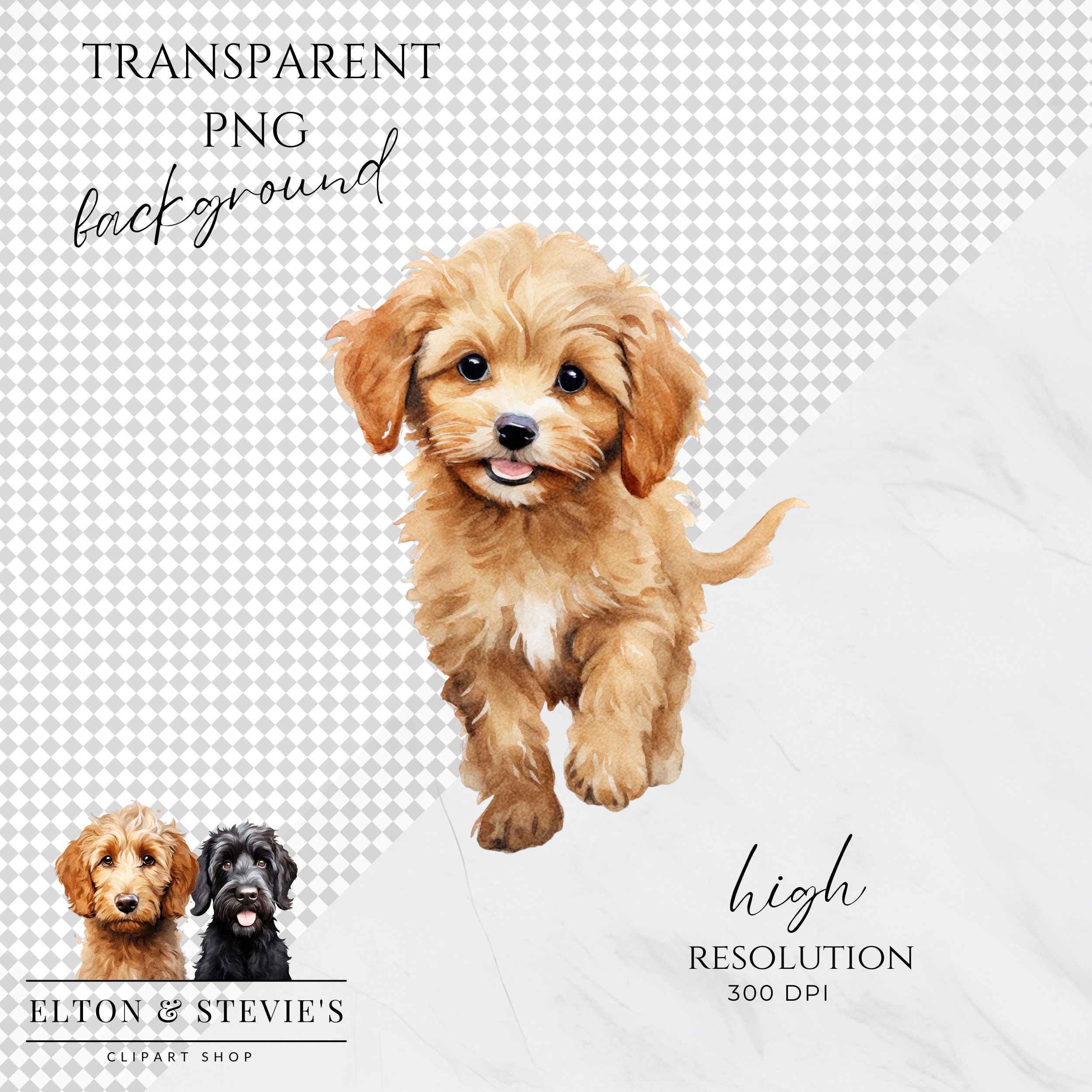 Cavapoo Clipart, Cavalier King Charles Spaniel, Poodle Clip Art, Dog ...