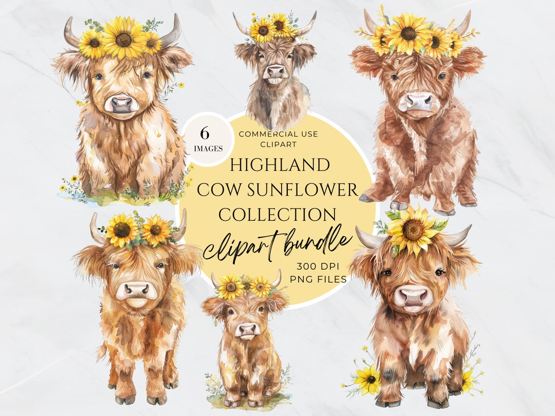 Watercolor Sunflower Highland Cows Collection Clipart, Transparent ...