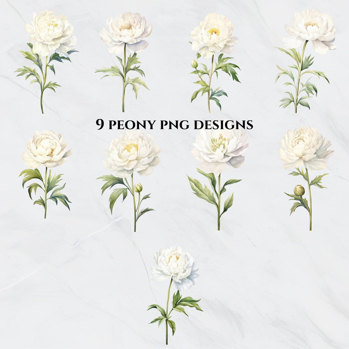 Dusty Blue Floral Clipart, Wedding Peonies Clip Art, White Pink Floral ...