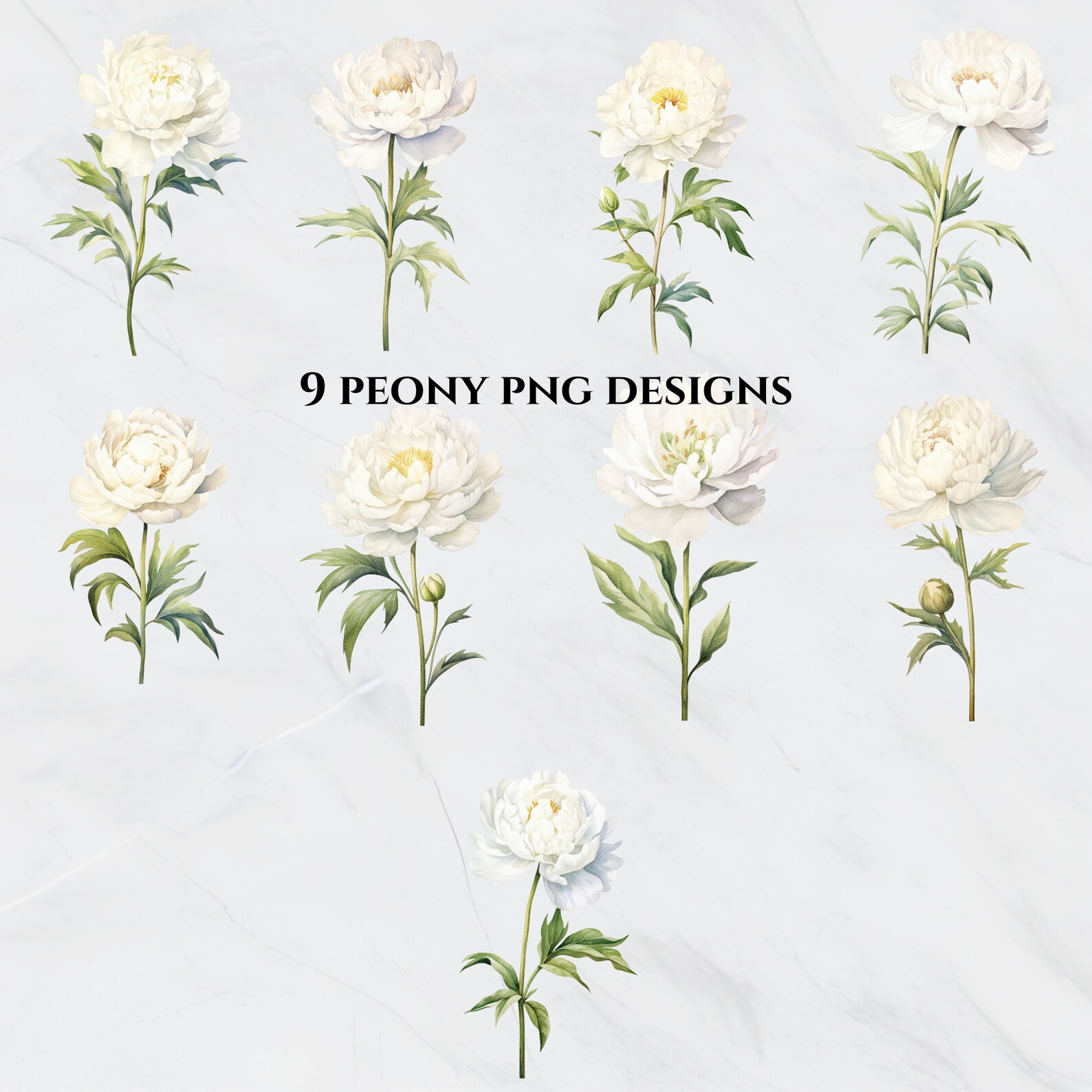 Dusty Blue Floral Clipart, Wedding Peonies Clip Art, White Pink Floral ...