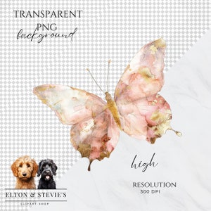 Rose Gold Butterfly Clipart, Pink and Gold Butterfly Clip Art, Pink ...